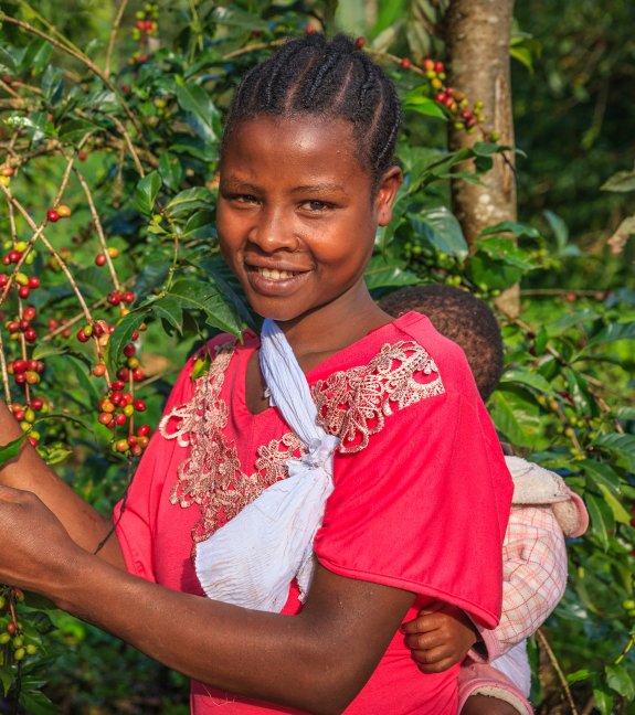 AXA Investment Managers | AXA IM Corporate